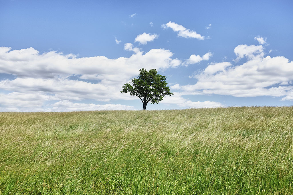 Five Ways to Improve Indoor Air Quality – Mahle Cool Air & Heating